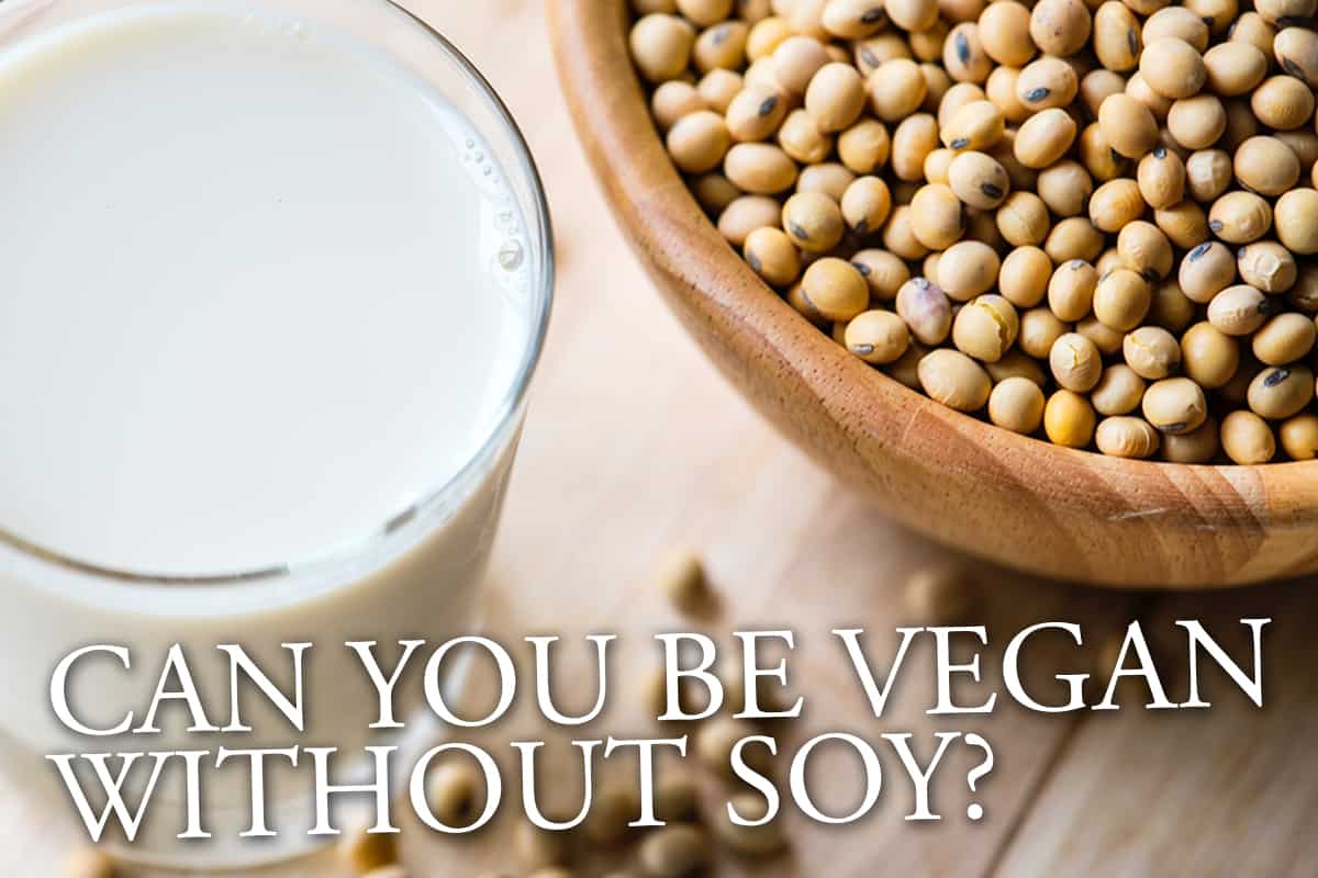 Can You Be Vegan Without Soy I Am Going Vegan Can You Be Vegan Without Soy I Am Going Vegan